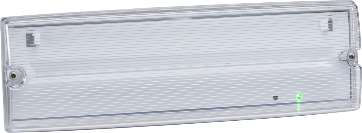 230V IP65 4W LED Emergency Self Test Bulkhead — Derby Firelec Ltd